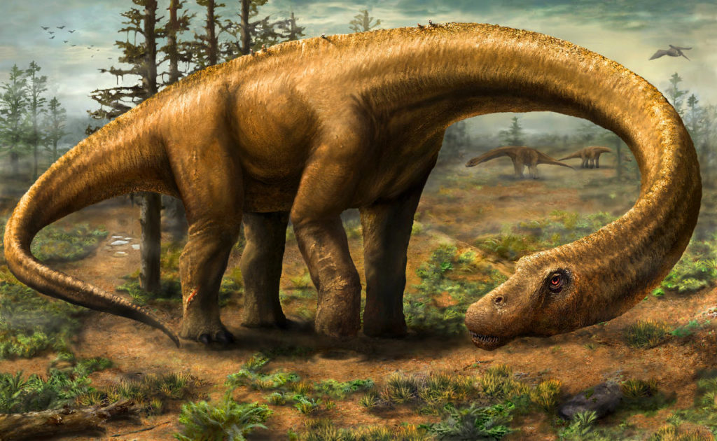 Inilah Daftar Dinosaurus Terbesar Di Dunia - Seru Menarik